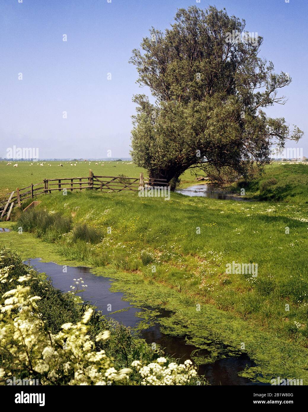 Kent waterways hi-res stock photography and images - Alamy