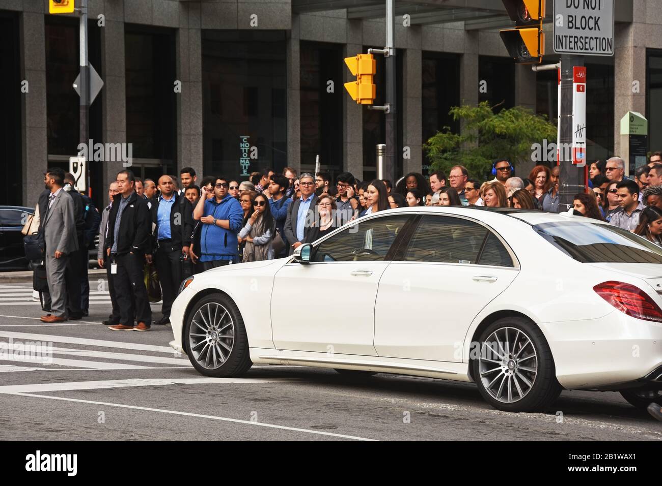 Pedestrians wait to cross a road during rush hour, Toronto, Canada ...
