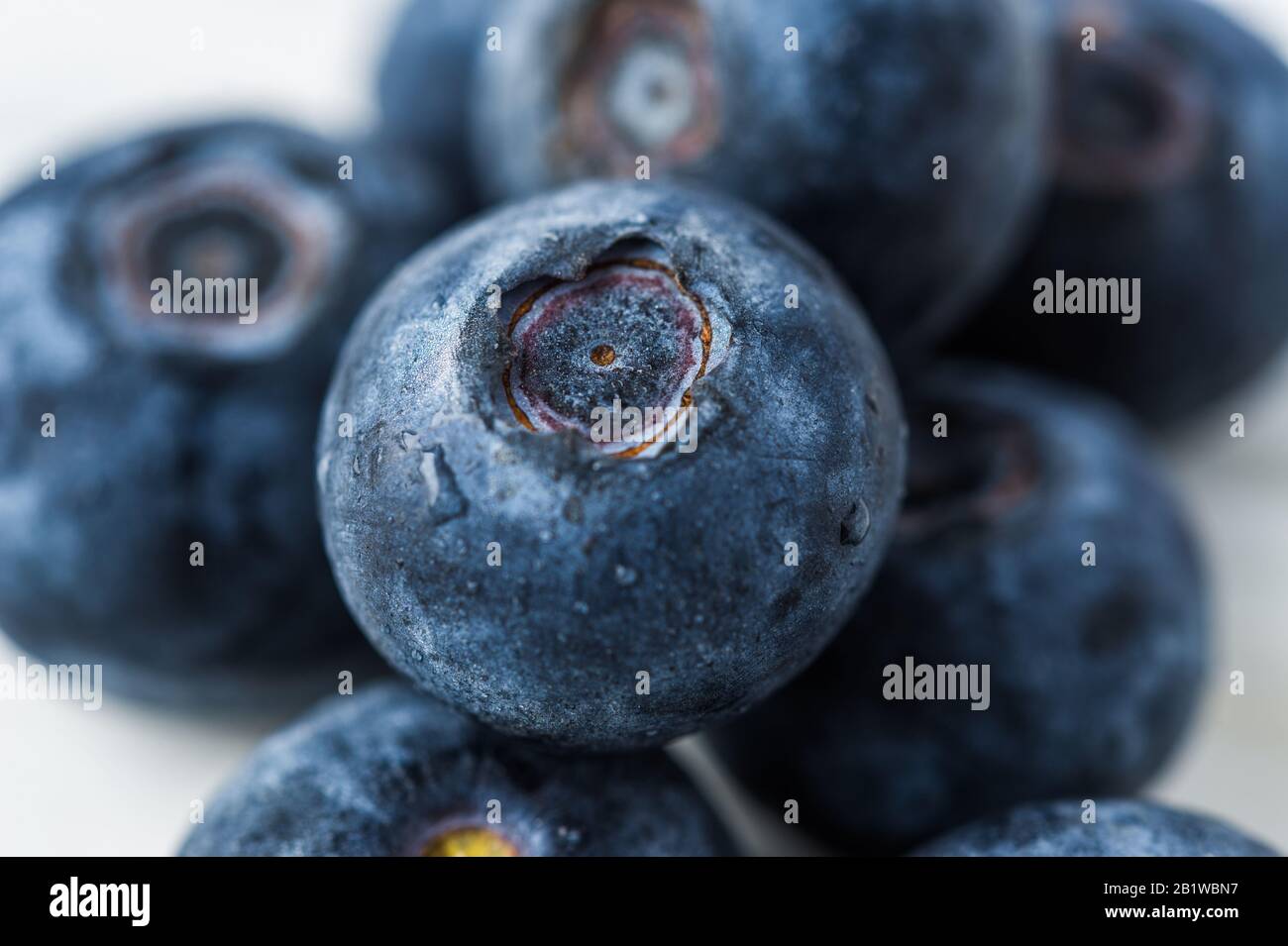 Macro close up photography of fresh organic blueberries Stock Photo - Alamy