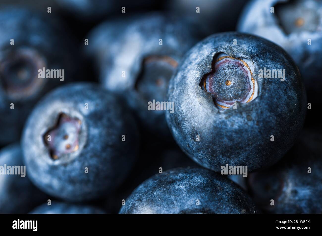 Macro close up photography of fresh organic blueberries Stock Photo - Alamy