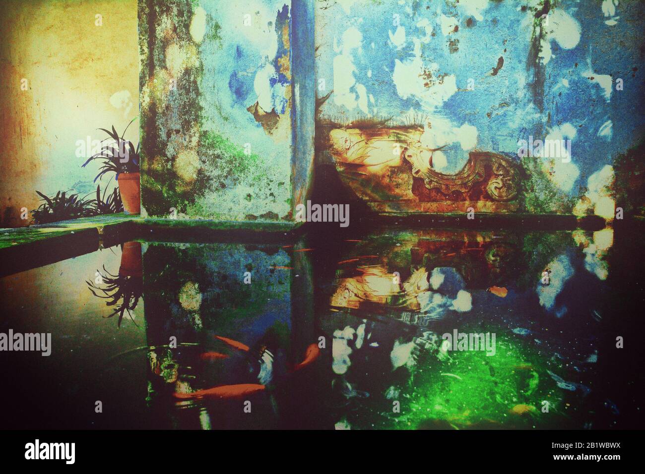 Exterior still life creative background Stock Photo - Alamy