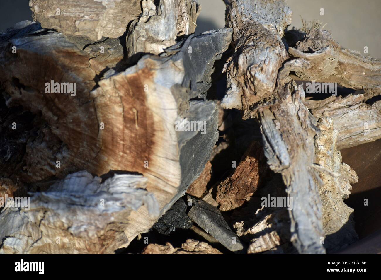 Firewood in a Pit Stock Photo - Alamy