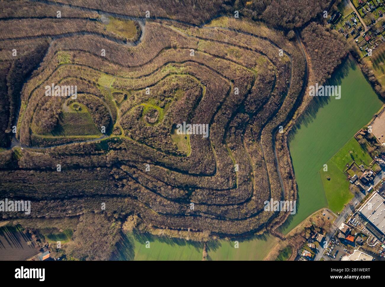 The Glade Maze Runner Birds Eye View