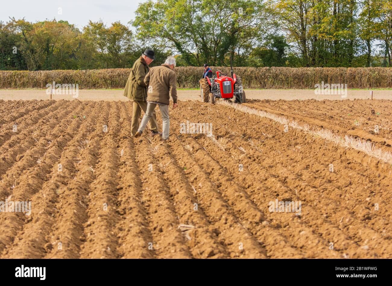 2 judges judging Vintage class tractor Ploughing furrow field plough ...