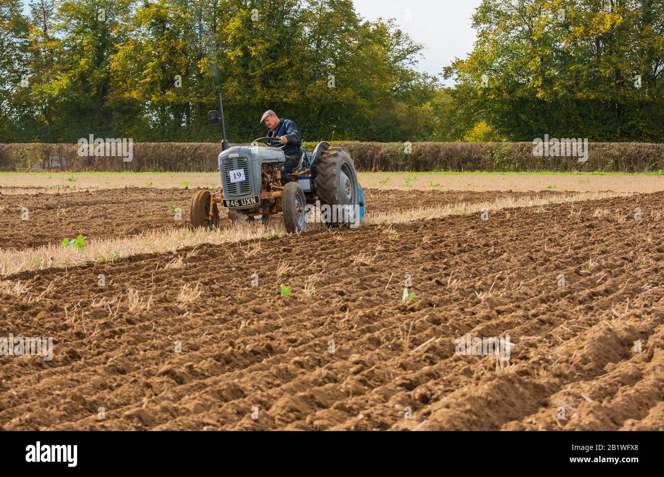Vintage Old Tractor - Gold Belly grey 1957 Massey Ferguson 35 in 2018 ...