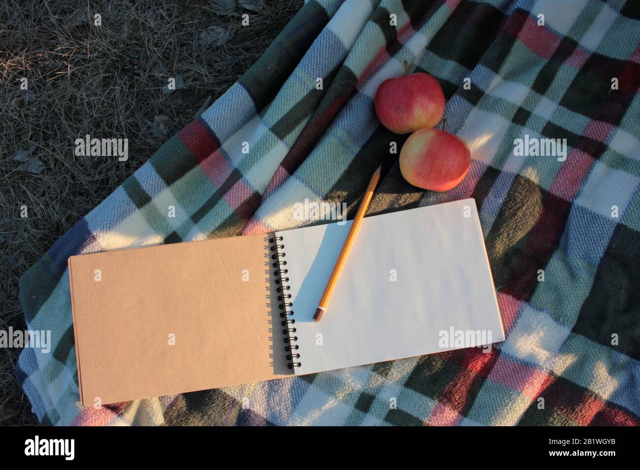 Picnic blanket background hi-res stock photography and images - Alamy