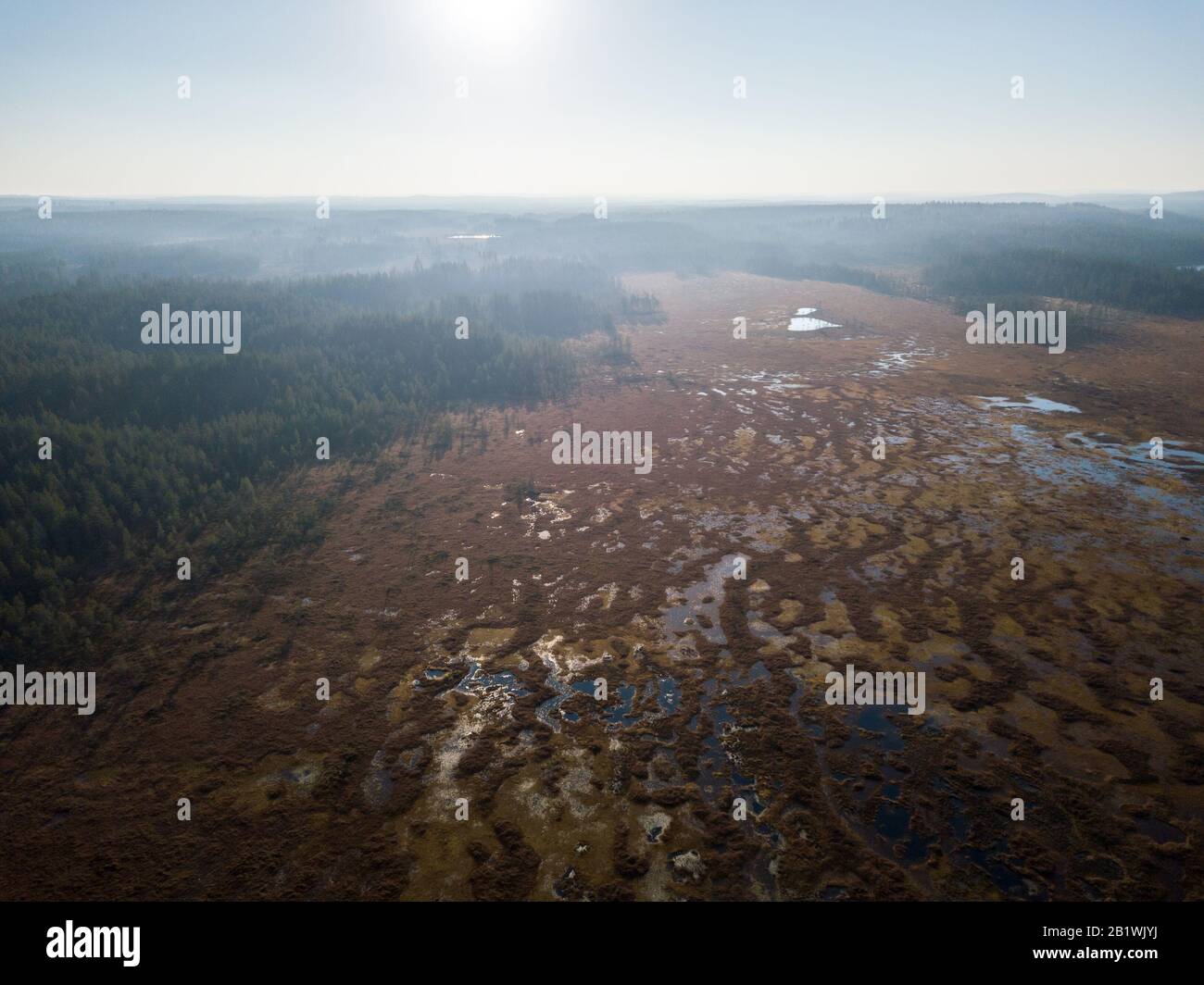 Quagmire landscape hi-res stock photography and images - Alamy