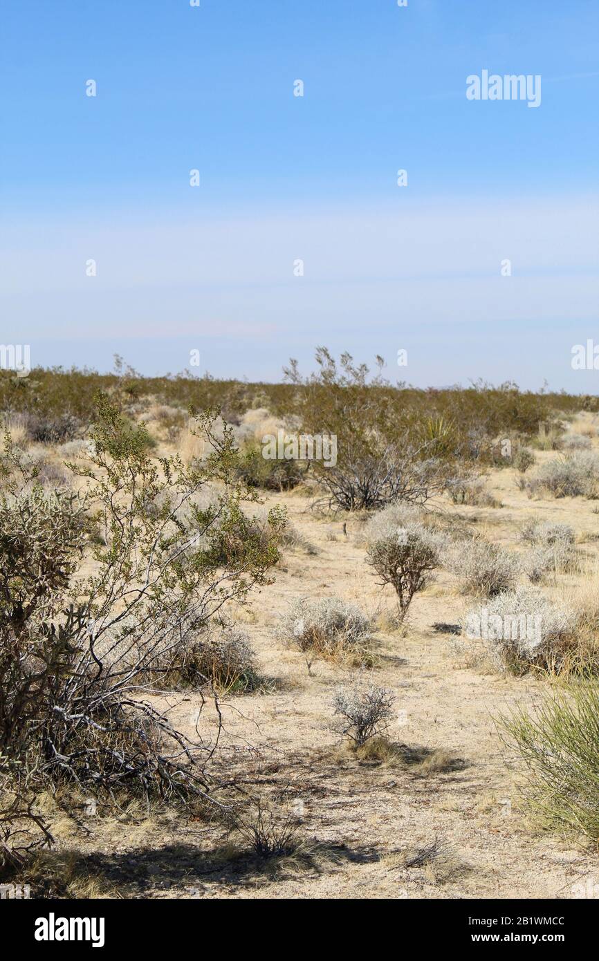 Benefits of biodiversity hi-res stock photography and images - Alamy