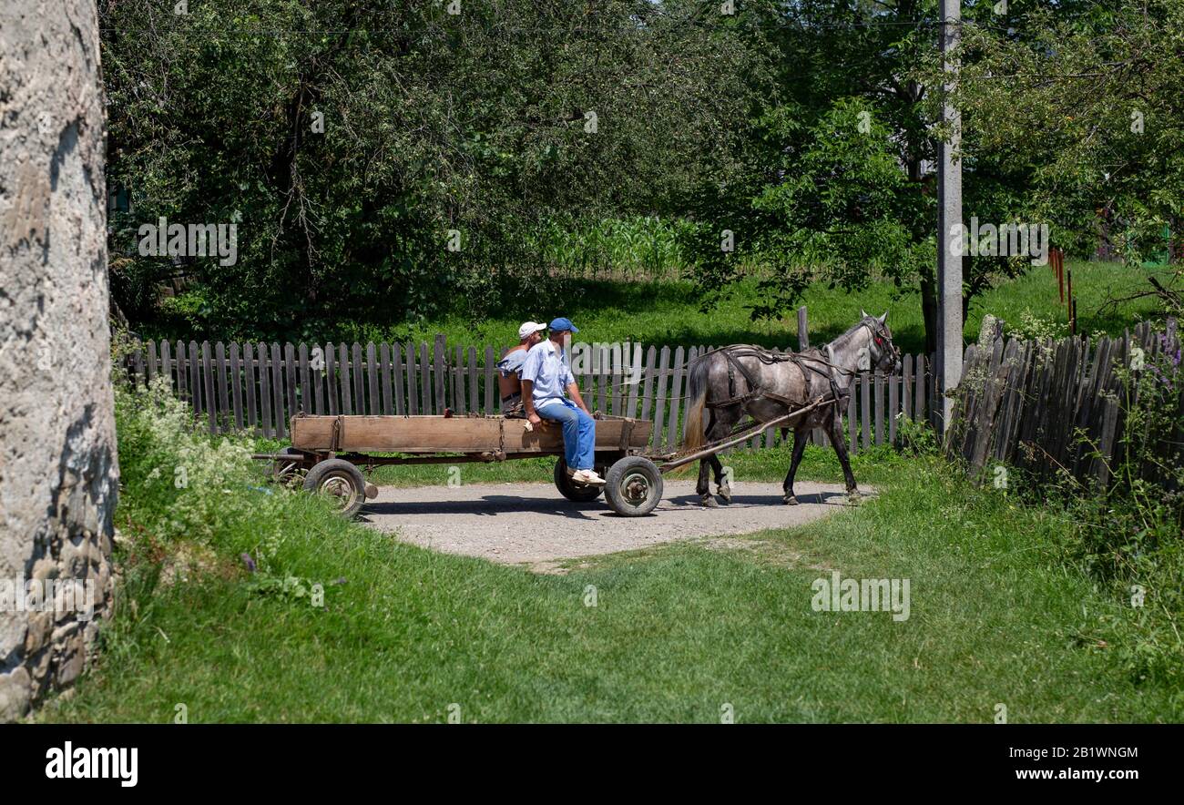Bucovina / Romania - Romanian farmer on a cart Countryside in Romania ...