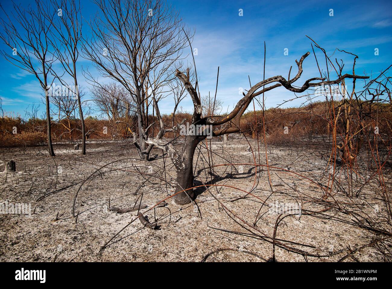 Burned fields hi-res stock photography and images - Alamy