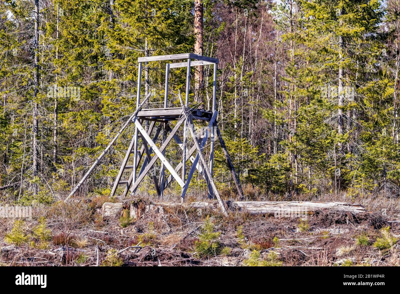 Typical Swedish small wooden tower at the edge of forest for autumn ...