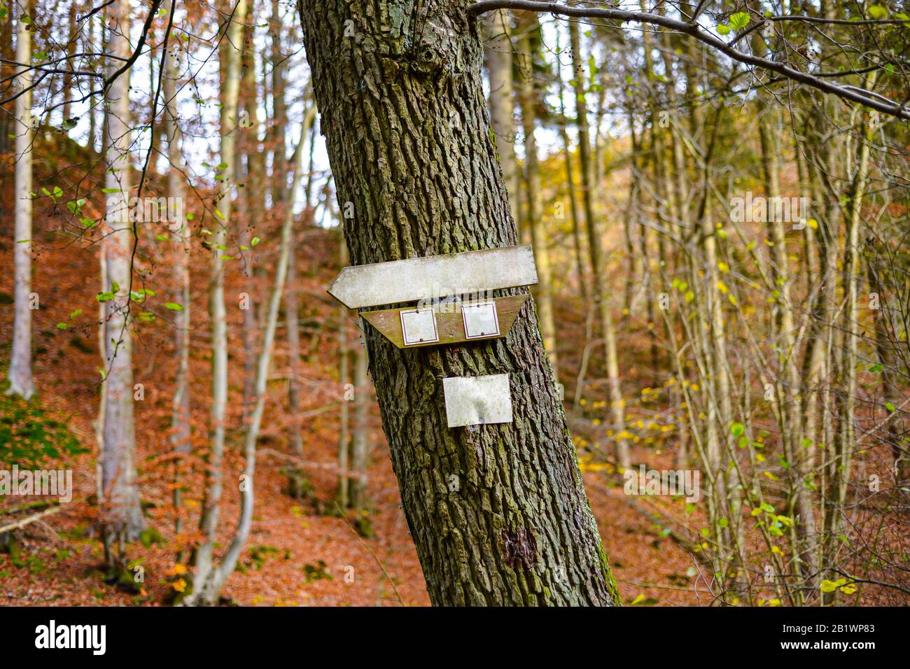 Sign nailed to tree hi-res stock photography and images - Alamy