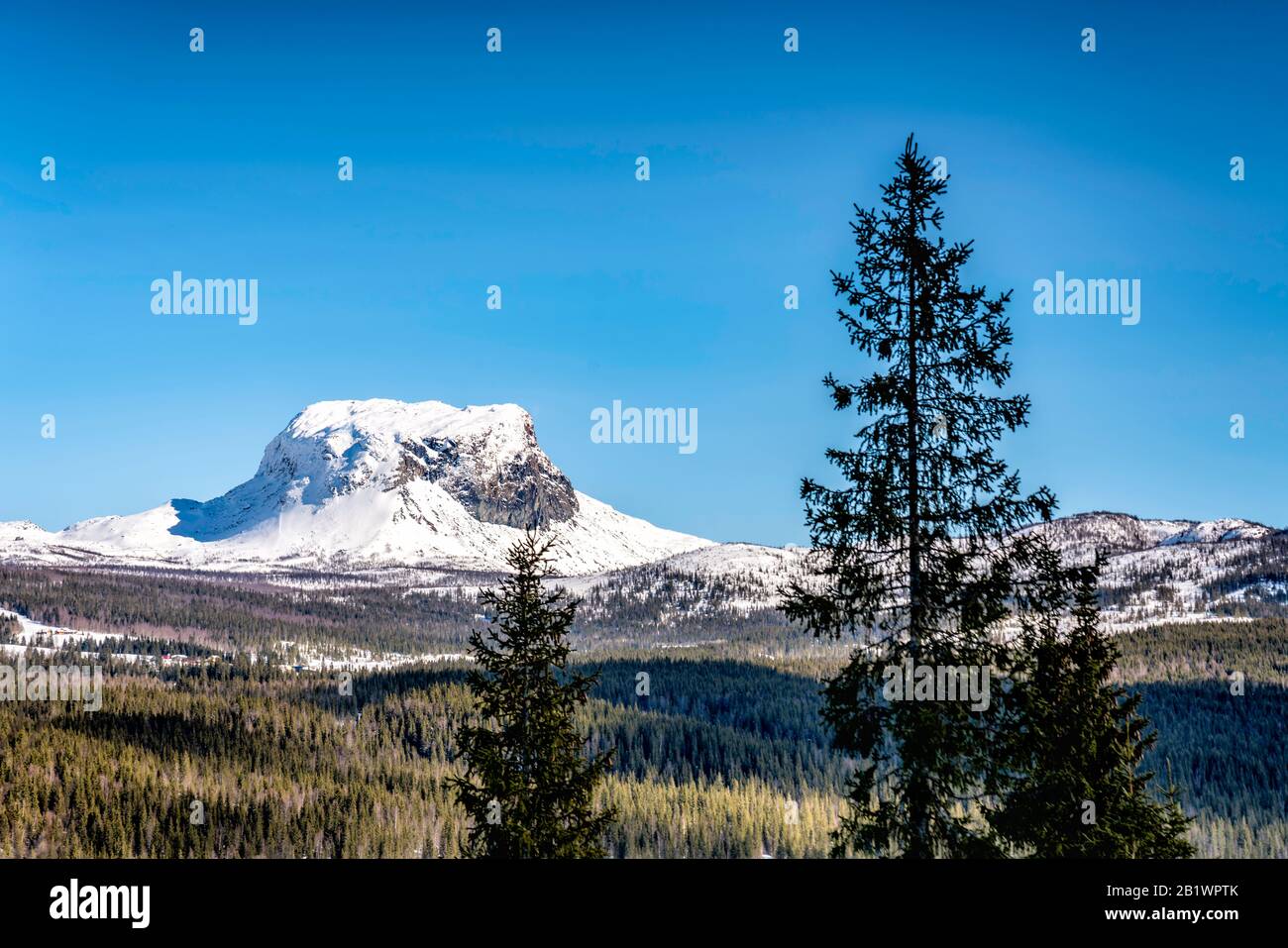 Subarctic terrain hi-res stock photography and images - Alamy