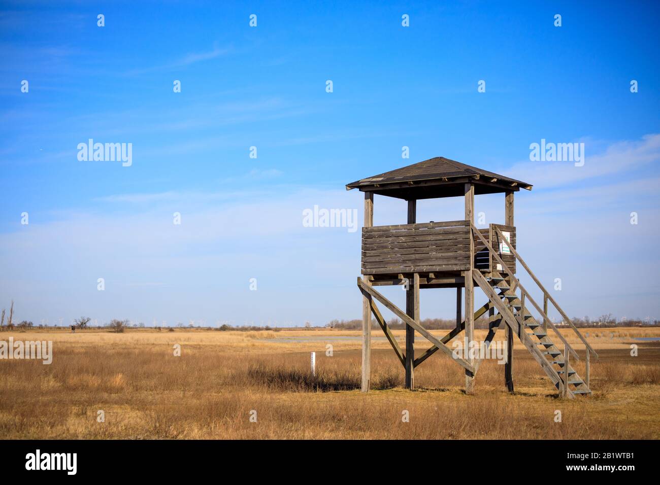 Birdwatching observation tower in a field with blue sky Stock Photo - Alamy