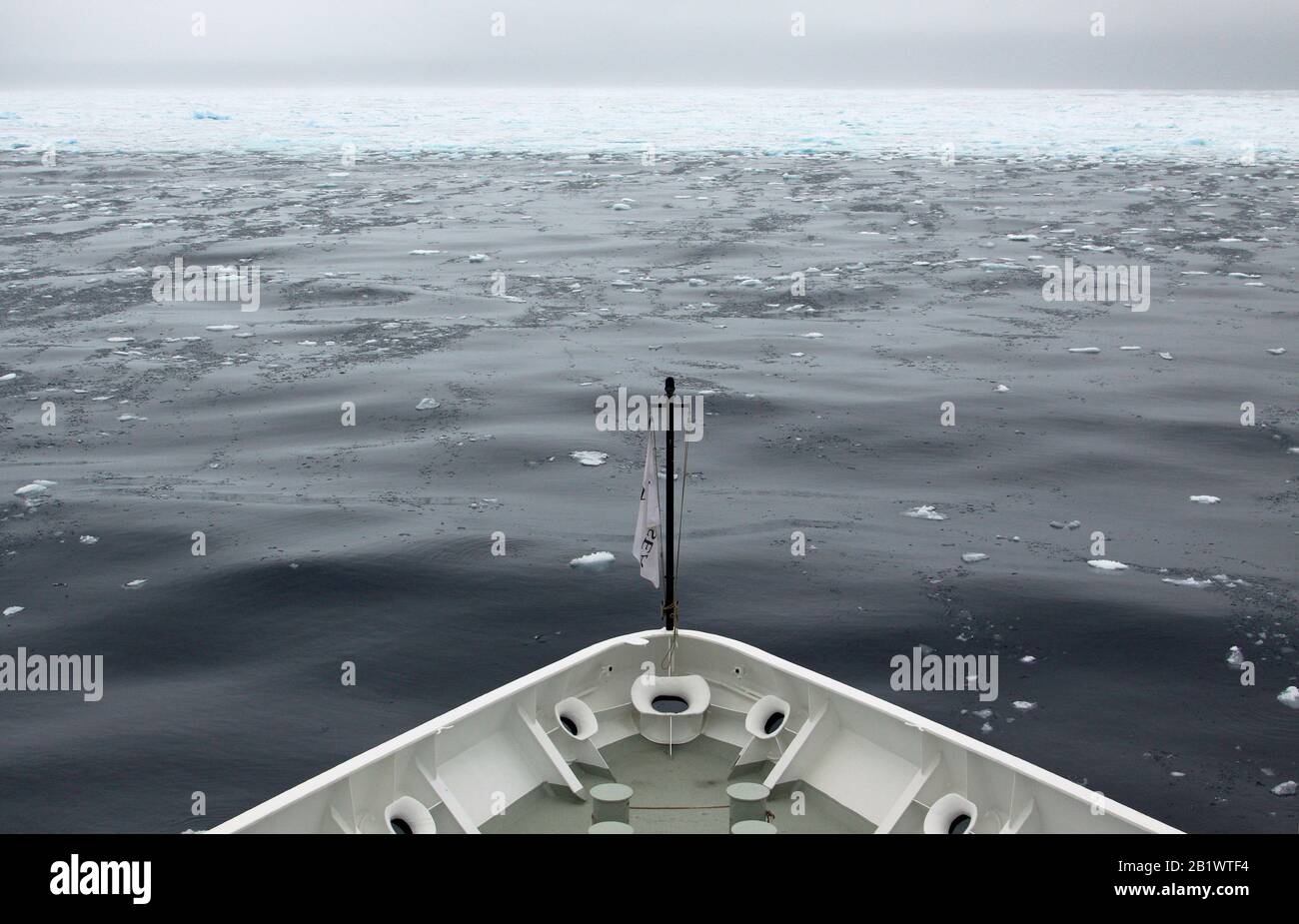 Svalbard sea ice Stock Photo - Alamy