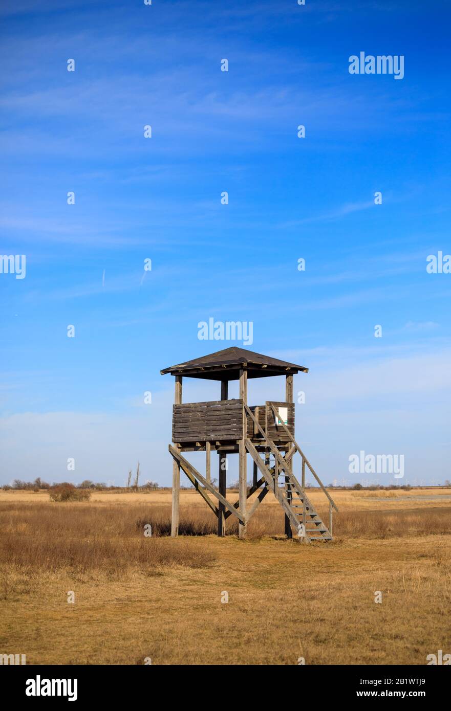 Birdwatching observation tower in a field with blue sky Stock Photo - Alamy