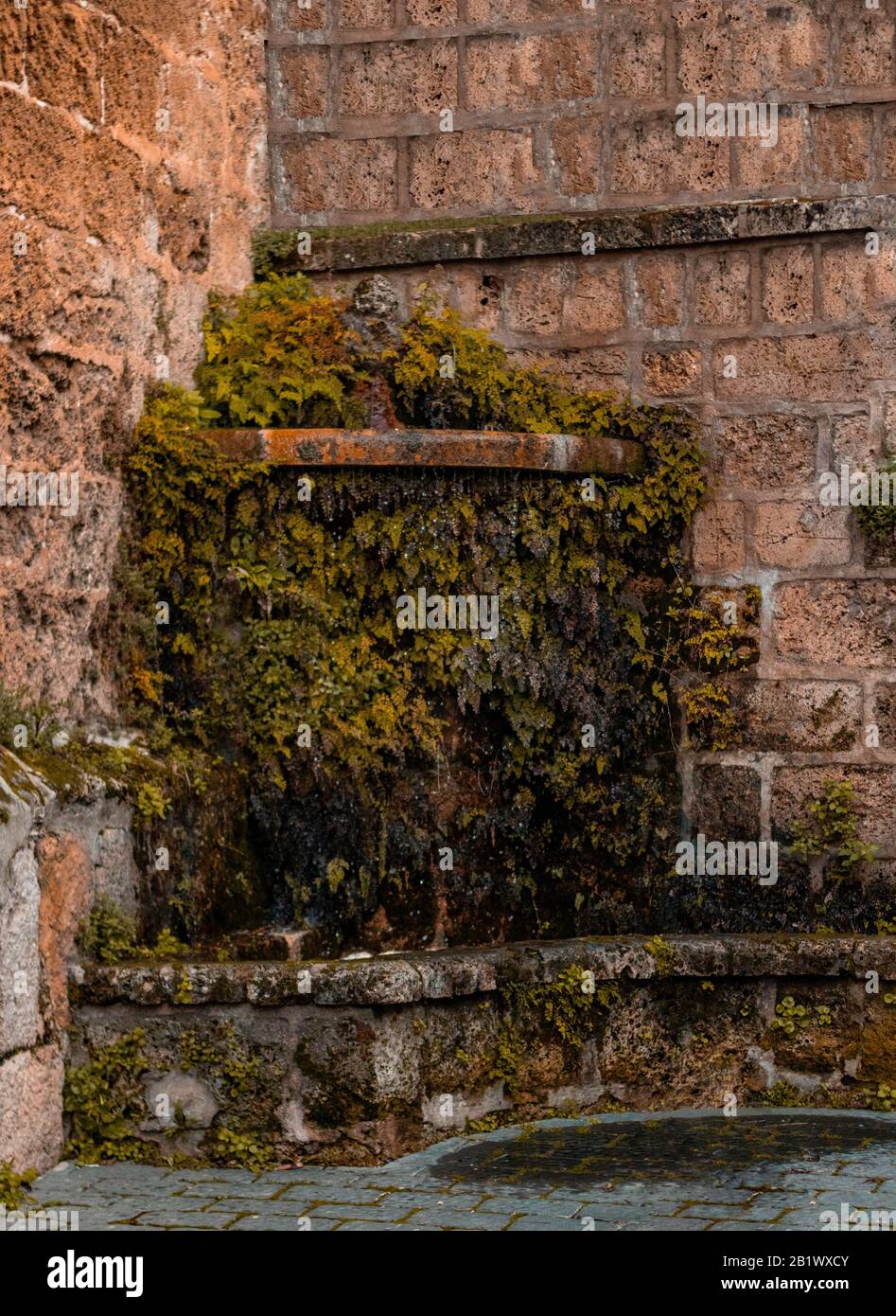 Autumnal-looking fountain with trees and plants with warm colors Stock ...
