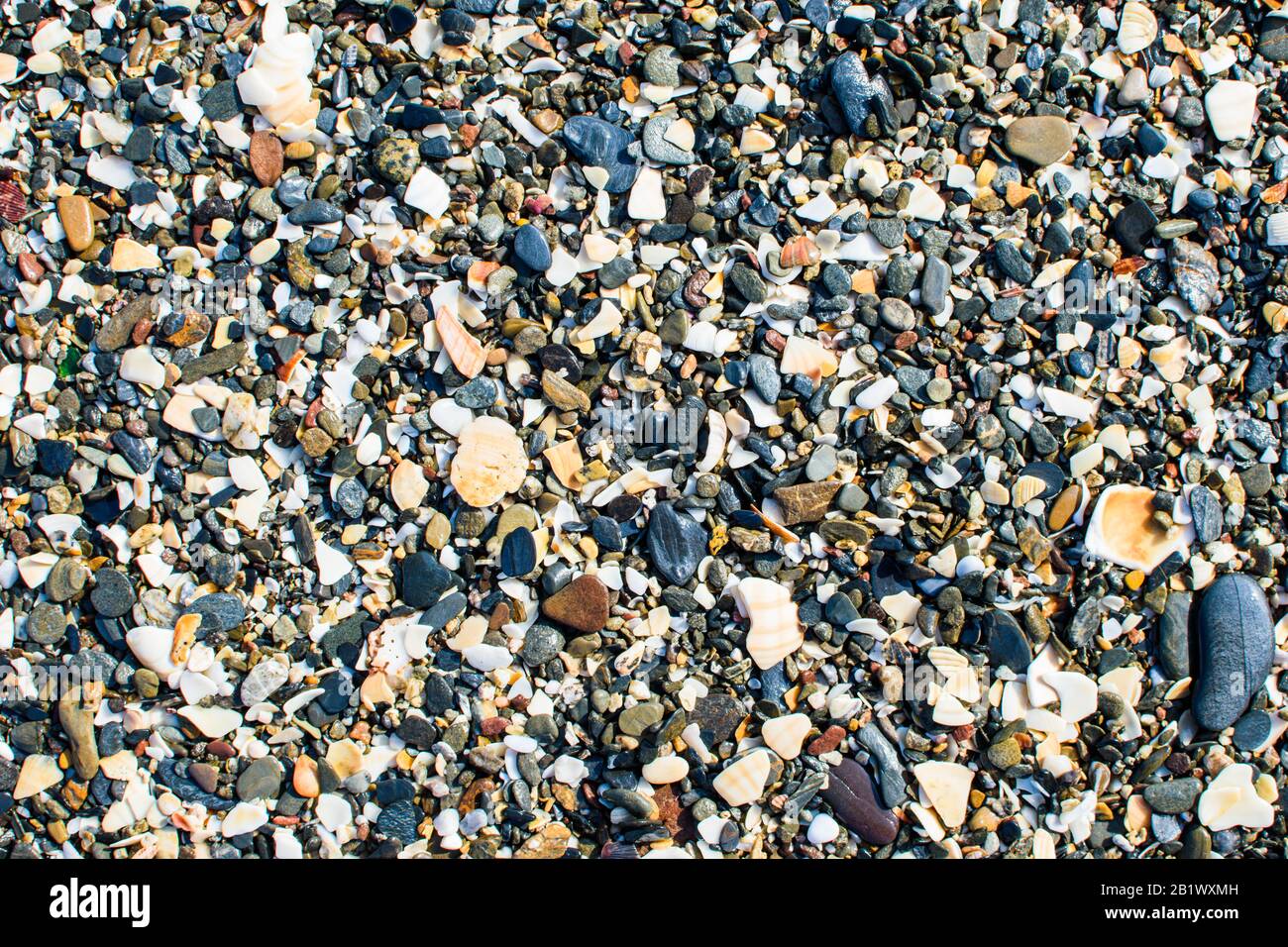 Surface of many small sea stones. Great for design and texture ...