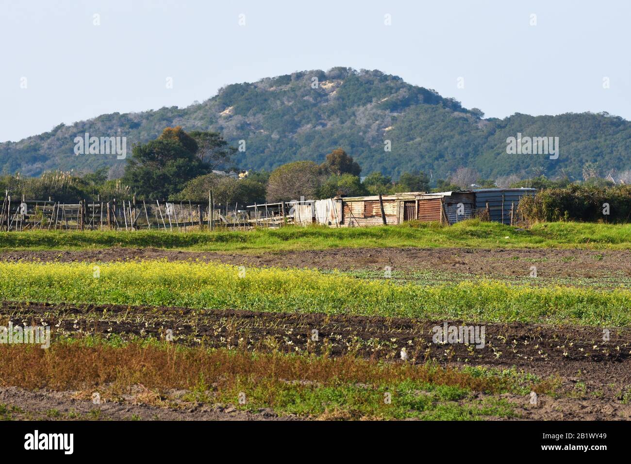Rural Agricultural Farm Field And Shack Stock Photo - Alamy