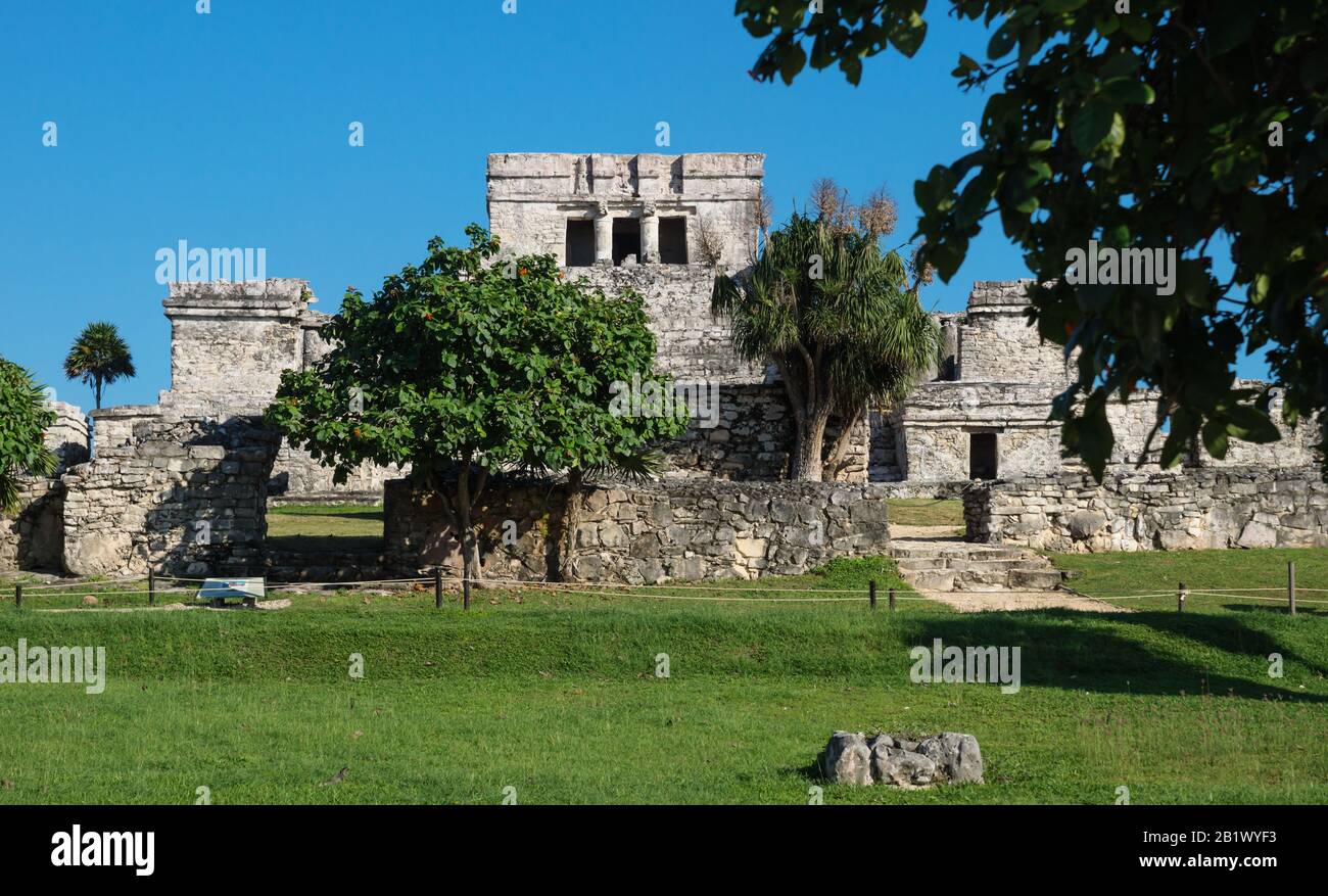Maya ruins with tropical plants and lawn with blue sky, Tulum, Mexico ...