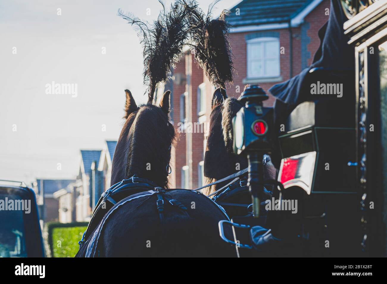 Rear view of a horse drawn hearse taking part in a funeral cortege ...
