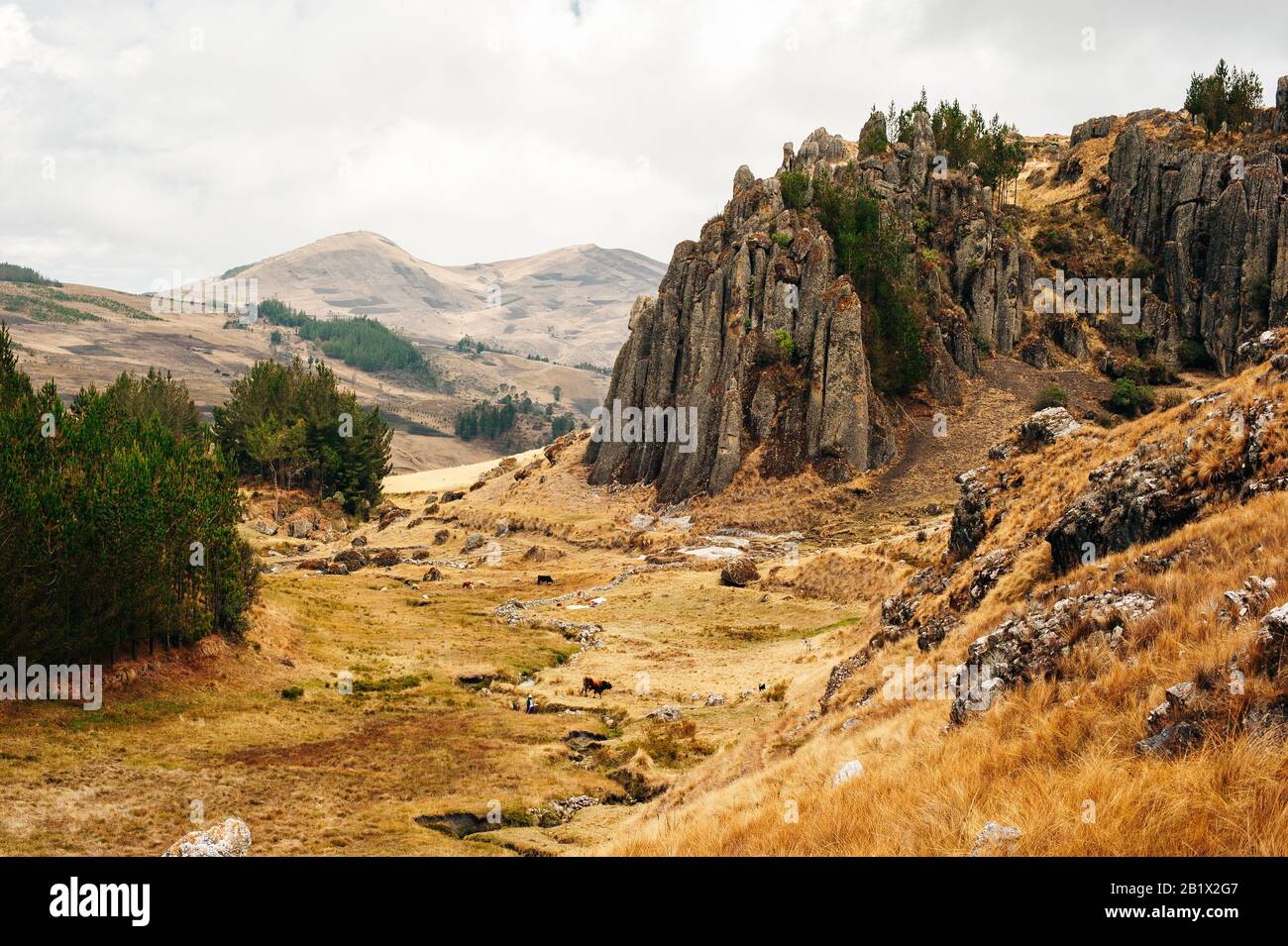 Mystical rock formations of Cumbemayo in Cajamarca PERU Stock Photo - Alamy