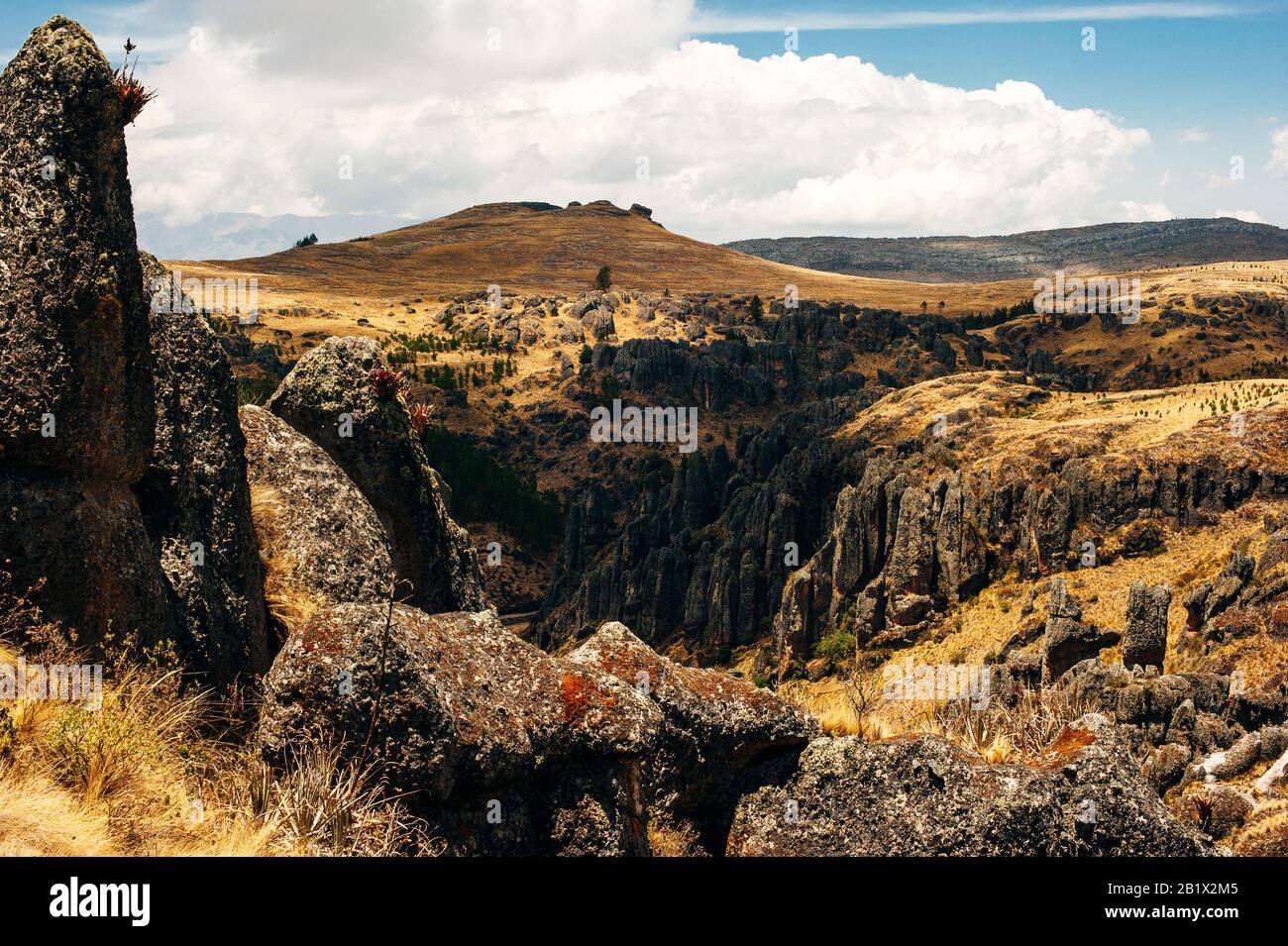 Mystical rock formations of Cumbemayo in Cajamarca PERU Stock Photo - Alamy