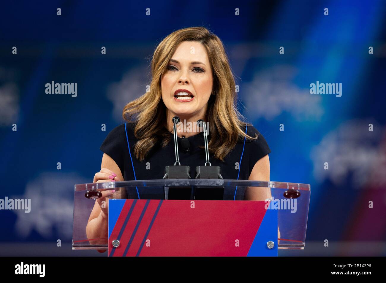 Mercedes Schlapp, Donald J. Trump for President, Inc. speaks during the ...