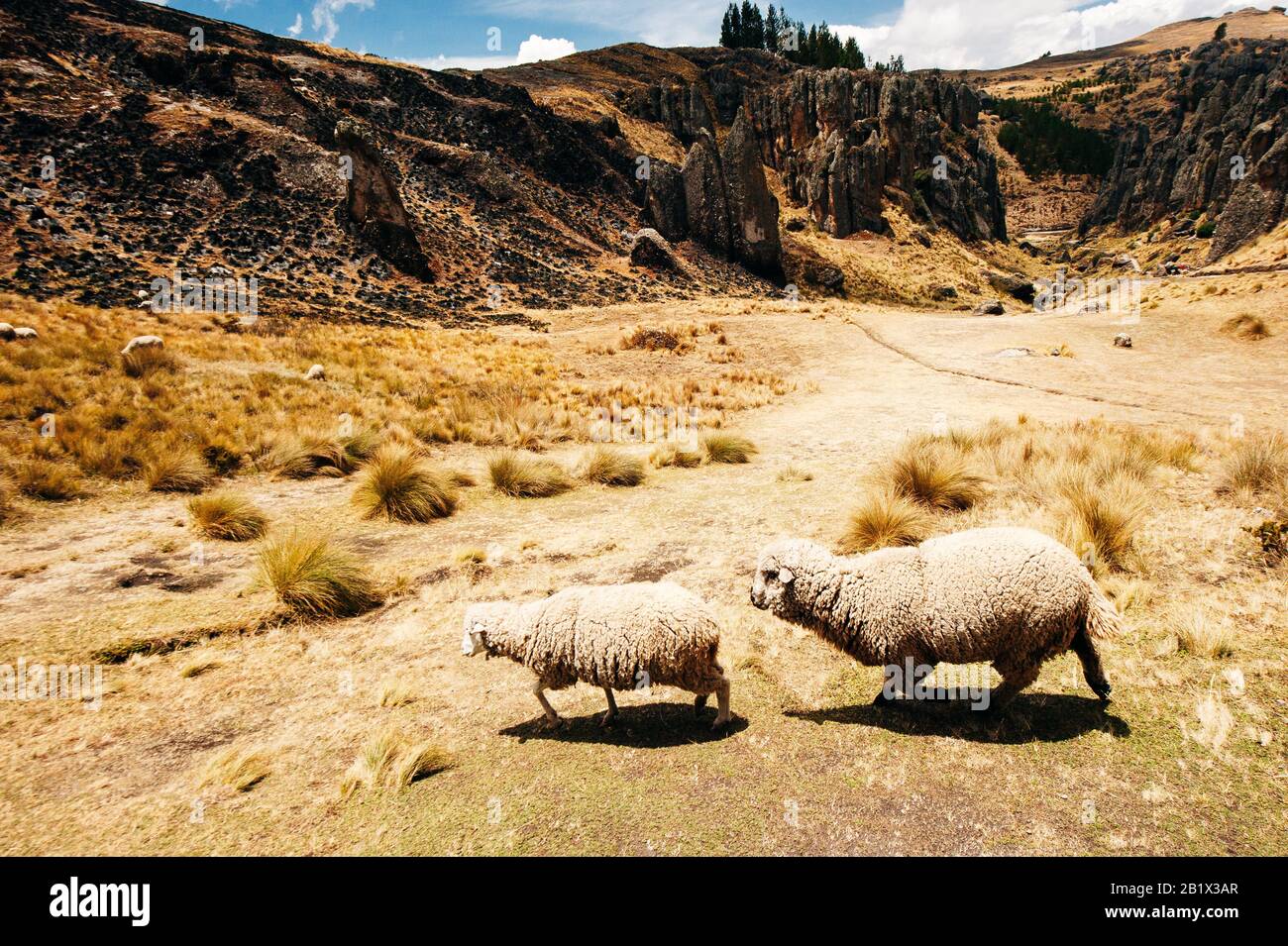 Tourism in cajamarca peru hi-res stock photography and images - Alamy