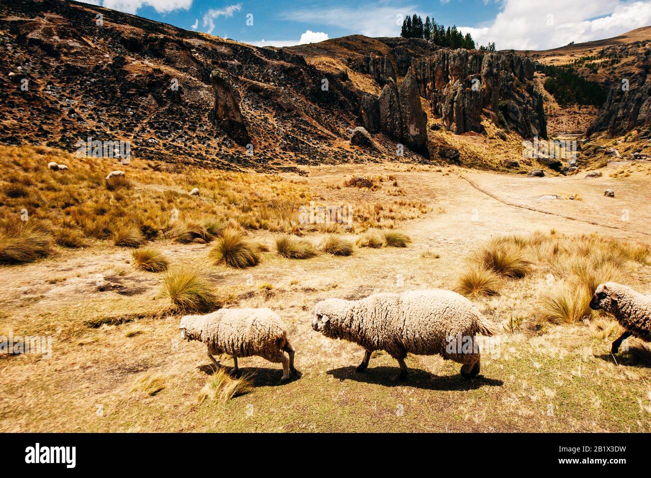 Tourism in cajamarca peru hi-res stock photography and images - Alamy