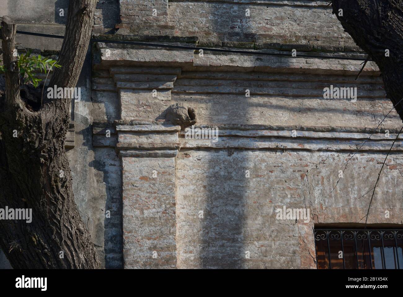 Llanura pampeana hi-res stock photography and images - Alamy
