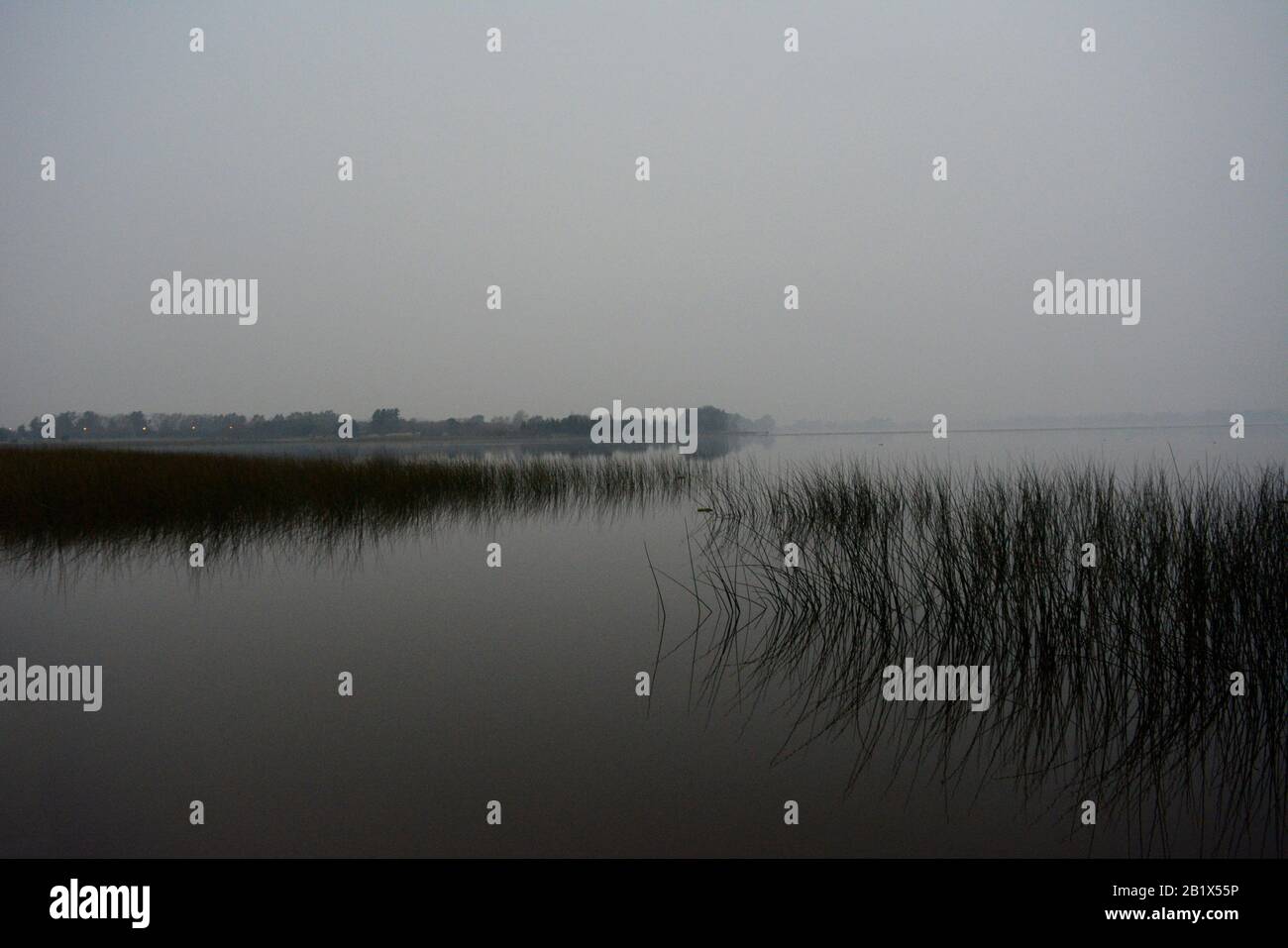 Llanura pampeana hi-res stock photography and images - Alamy