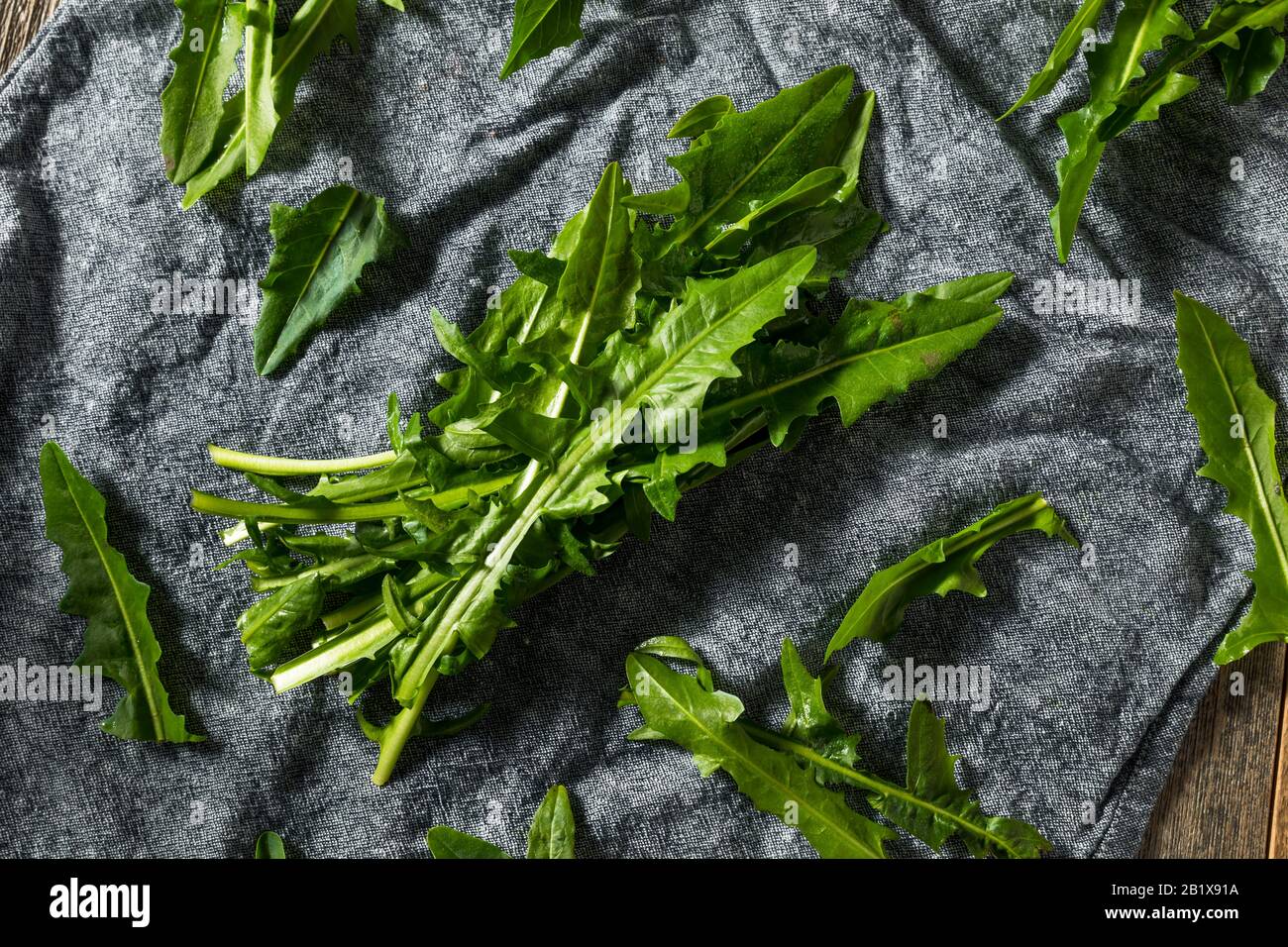 Raw Green Organic Dandelion Greens in a Bunch Stock Photo - Alamy