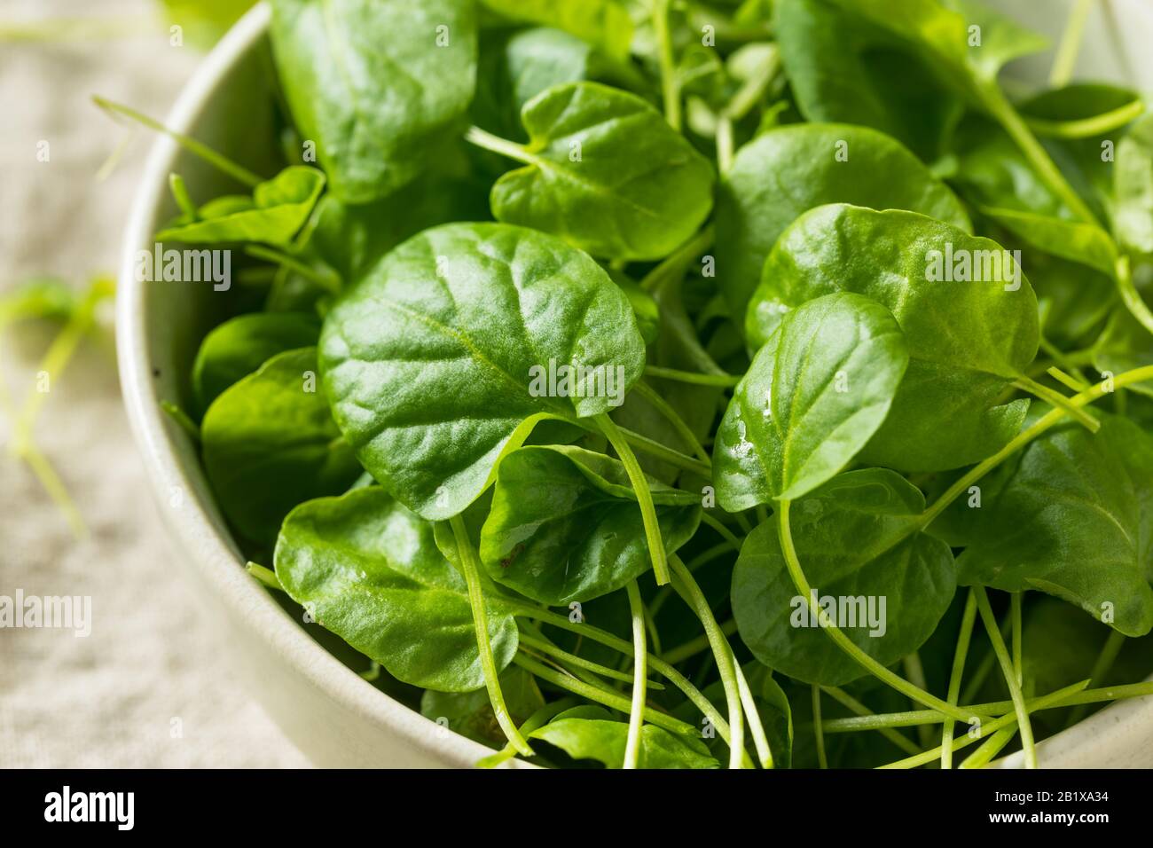 Raw Green Organic Watercress in a Bowl Stock Photo - Alamy