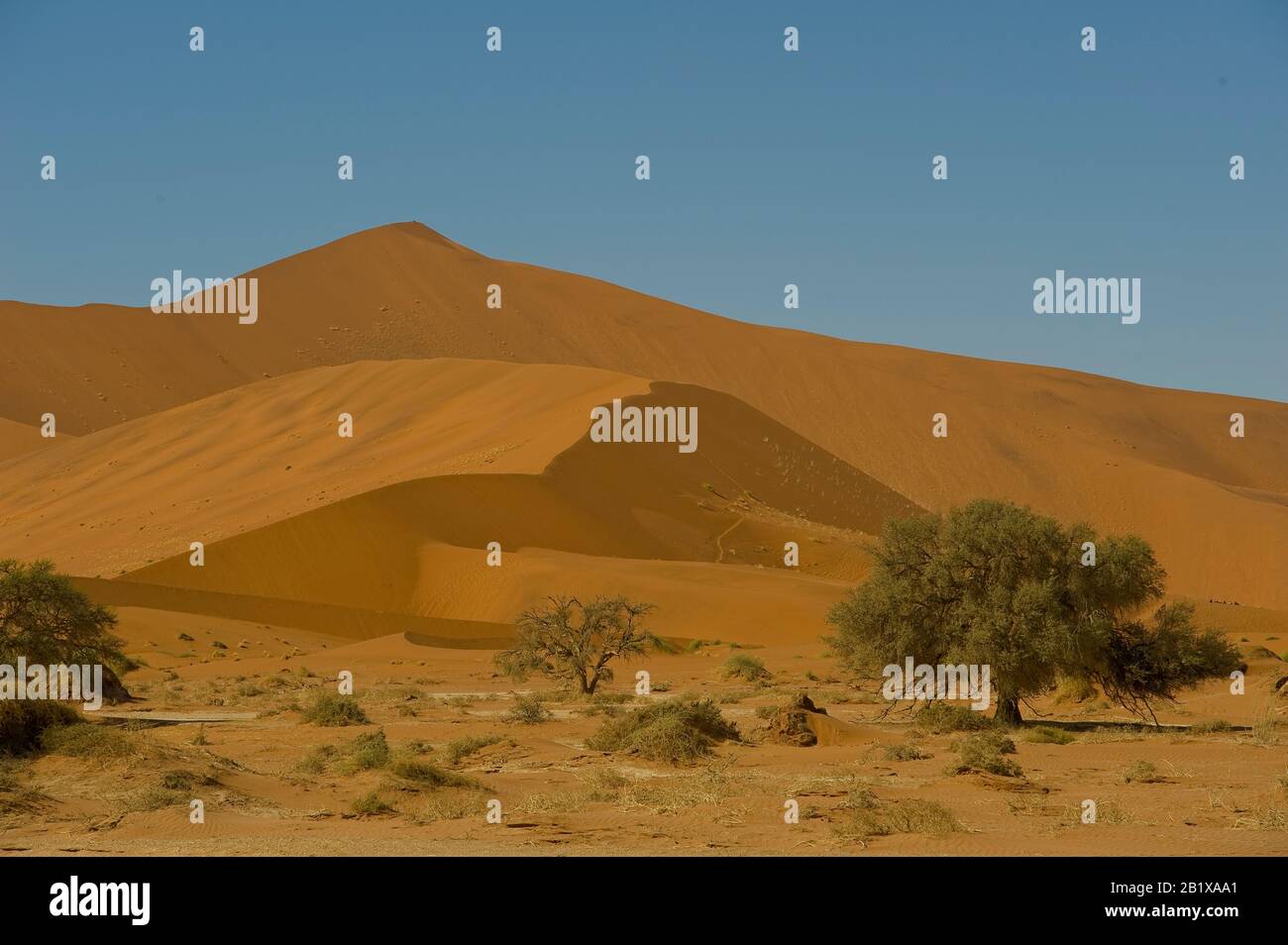 The beauty of the red dunes at Sossusvlei, Namib Naukluft National Park ...