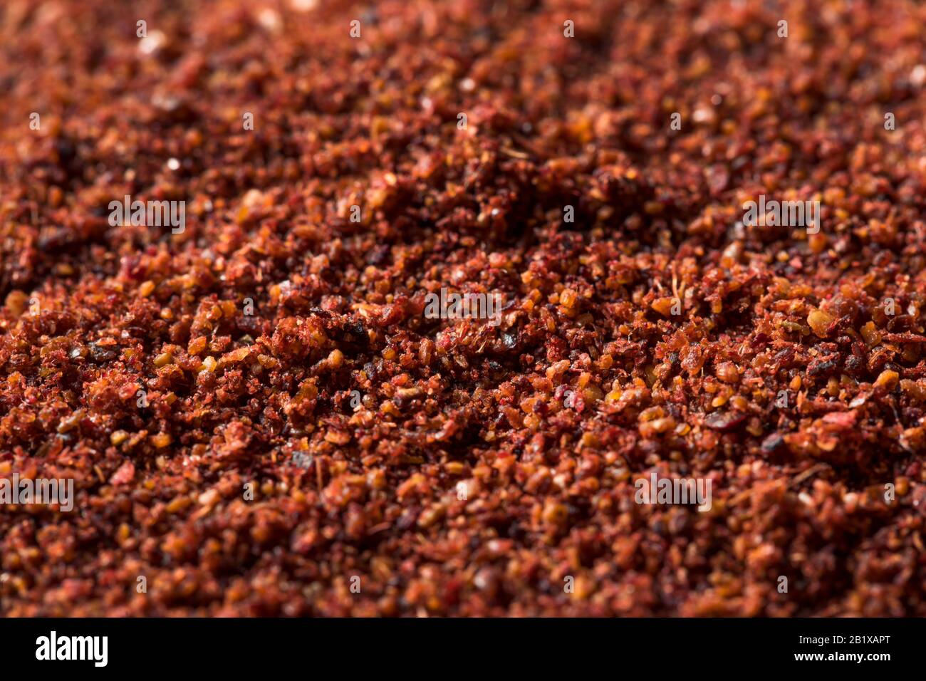 Plant sumac red berries hi-res stock photography and images - Alamy