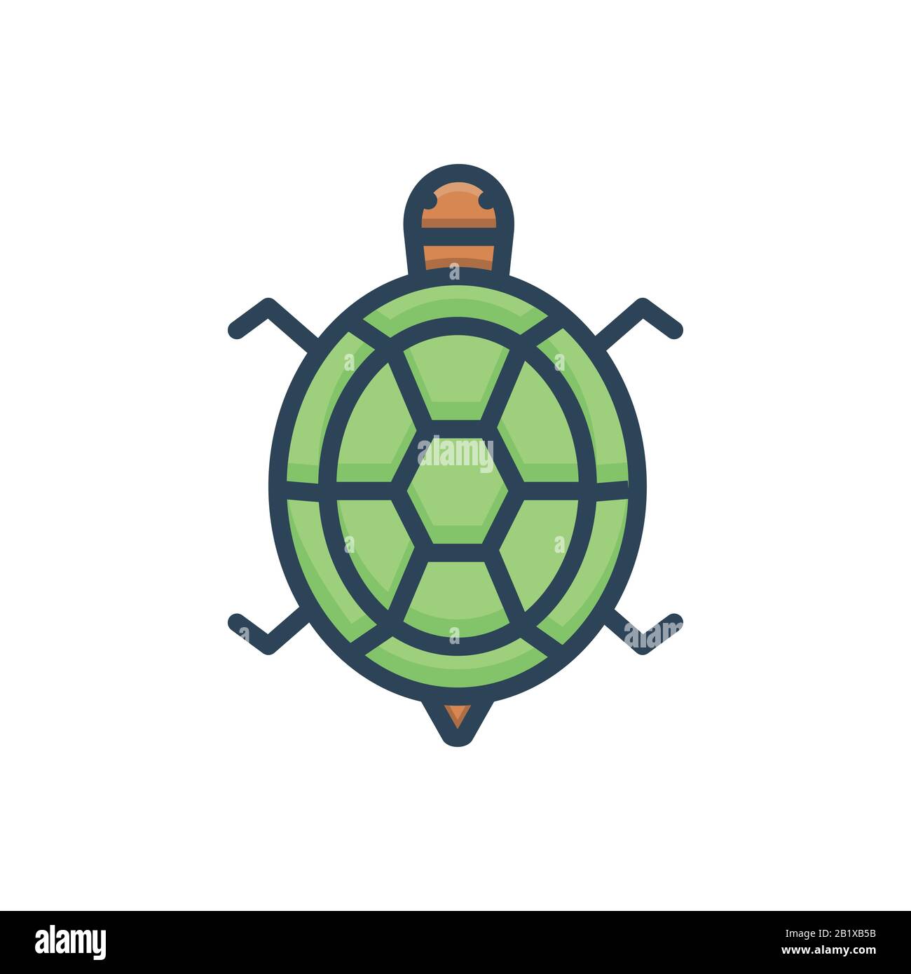Turtle wildlife Stock Vector Images - Alamy