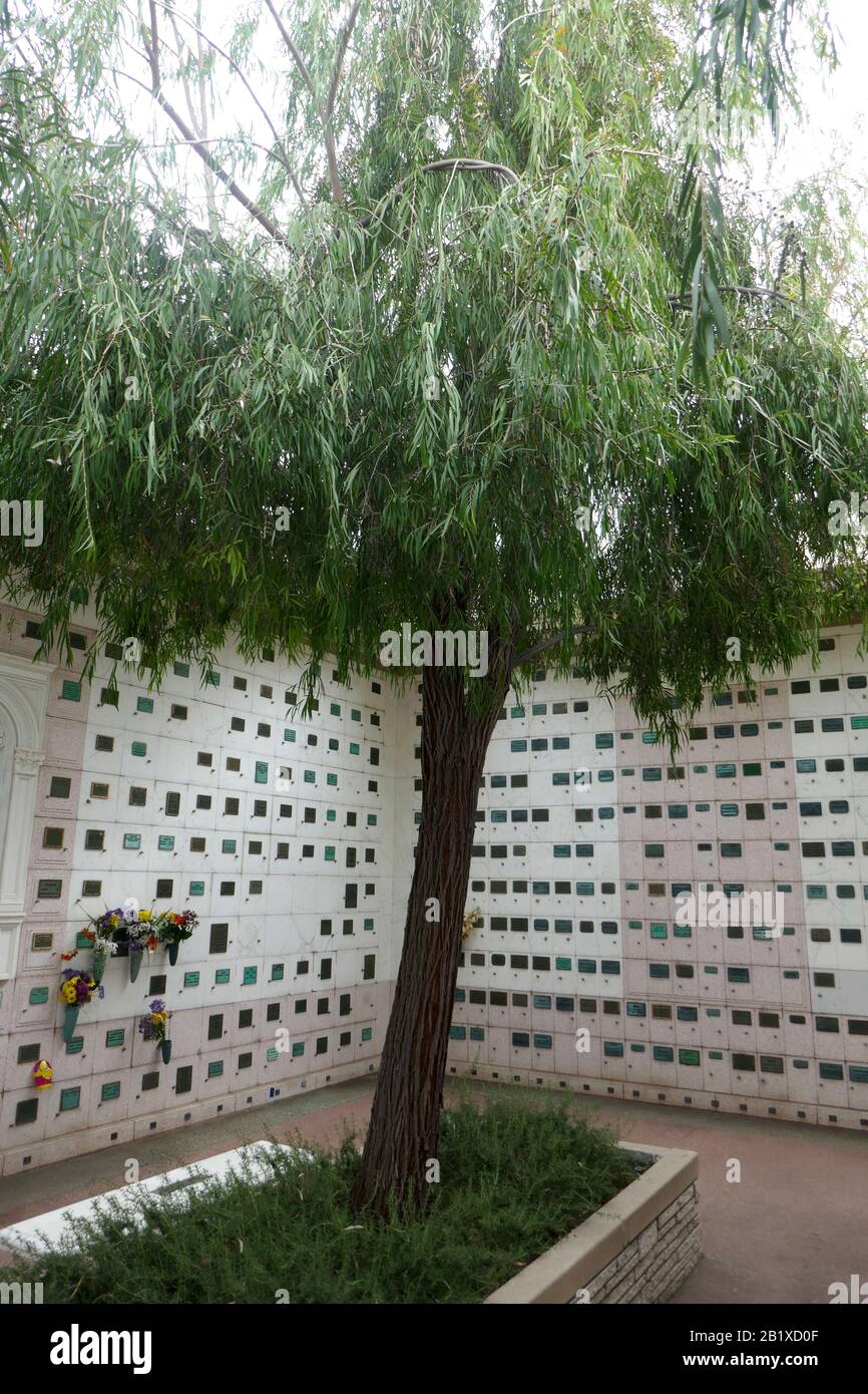 Los Angeles, California, USA 27th February 2020 A general view of ...