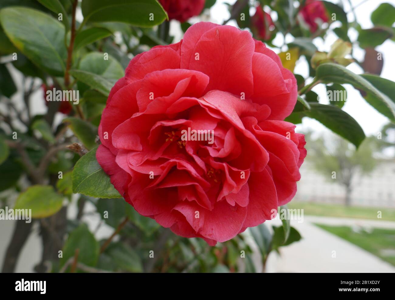Los Angeles, California, USA 27th February 2020 A general view of ...