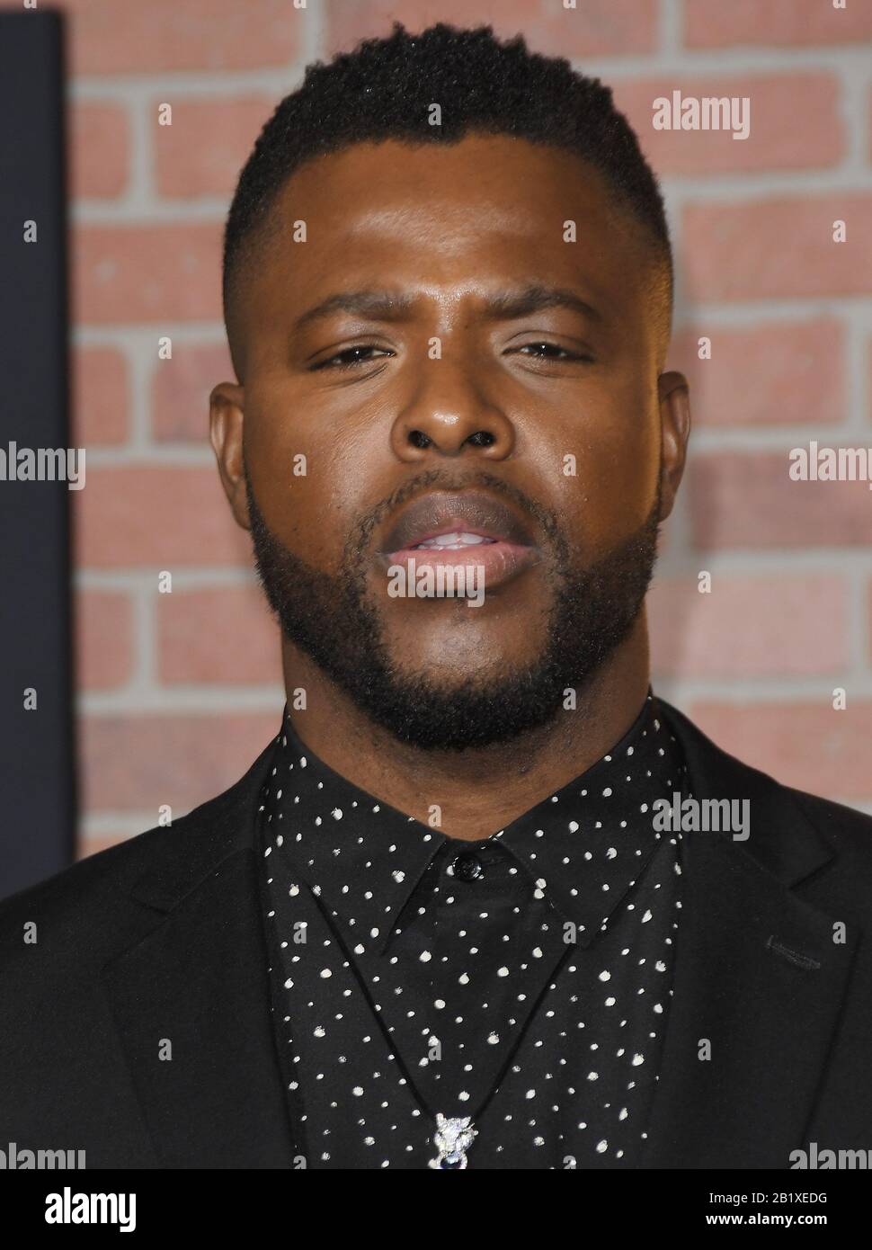 Los Angeles, USA. 27th Feb, 2020. Winston Duke arrives at the Netflix's ...