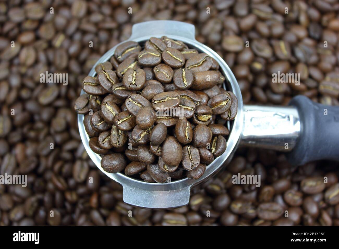 Group handle full of dark roasted coffee beans ready to make a brew ...