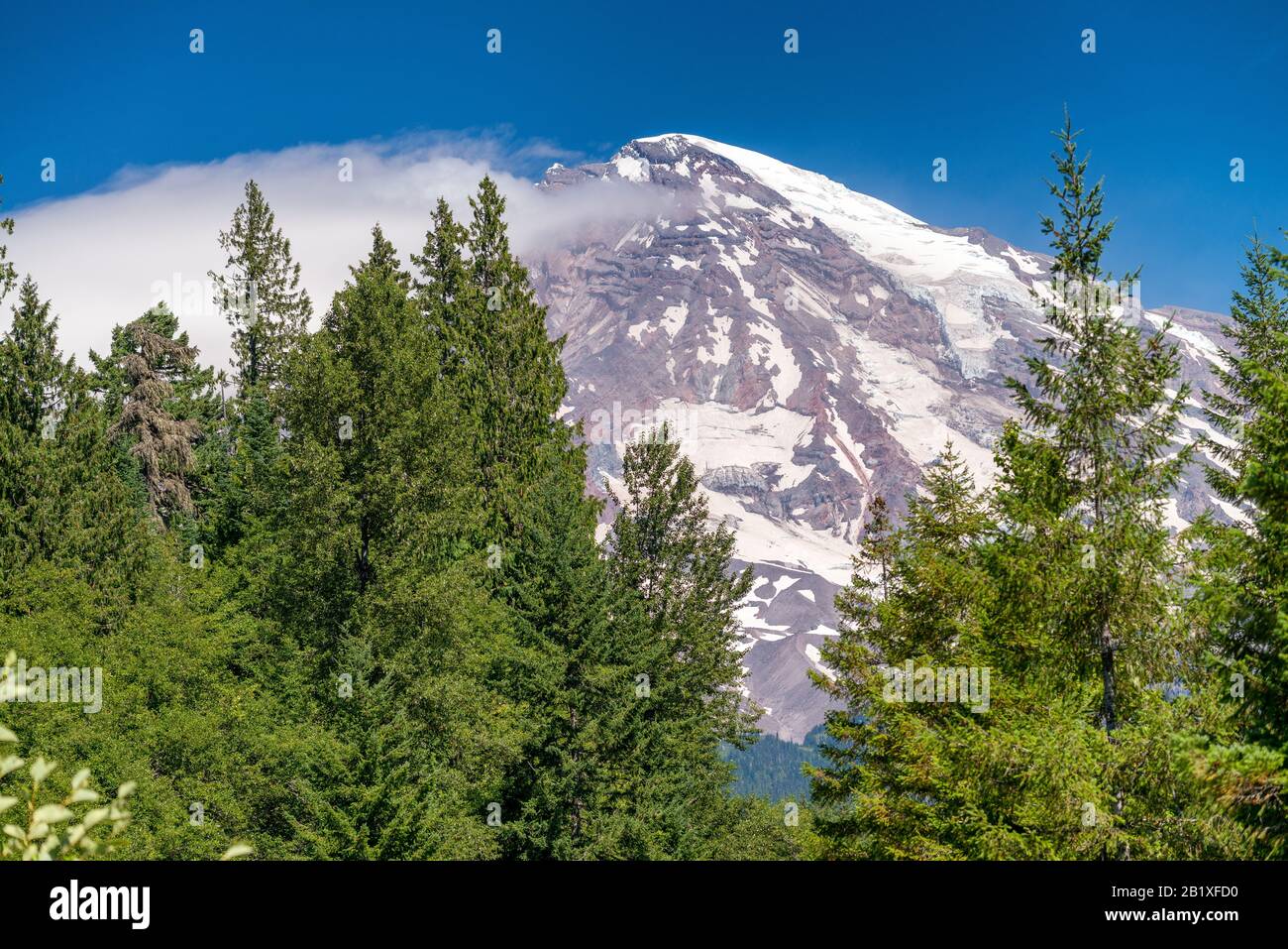 Majesty of Mount Rainier in summer time Stock Photo - Alamy
