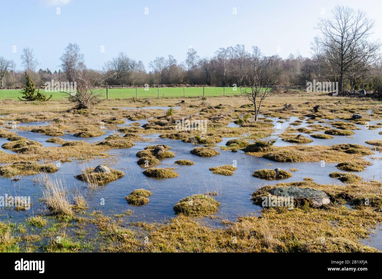 Swedish serenity hi-res stock photography and images - Alamy