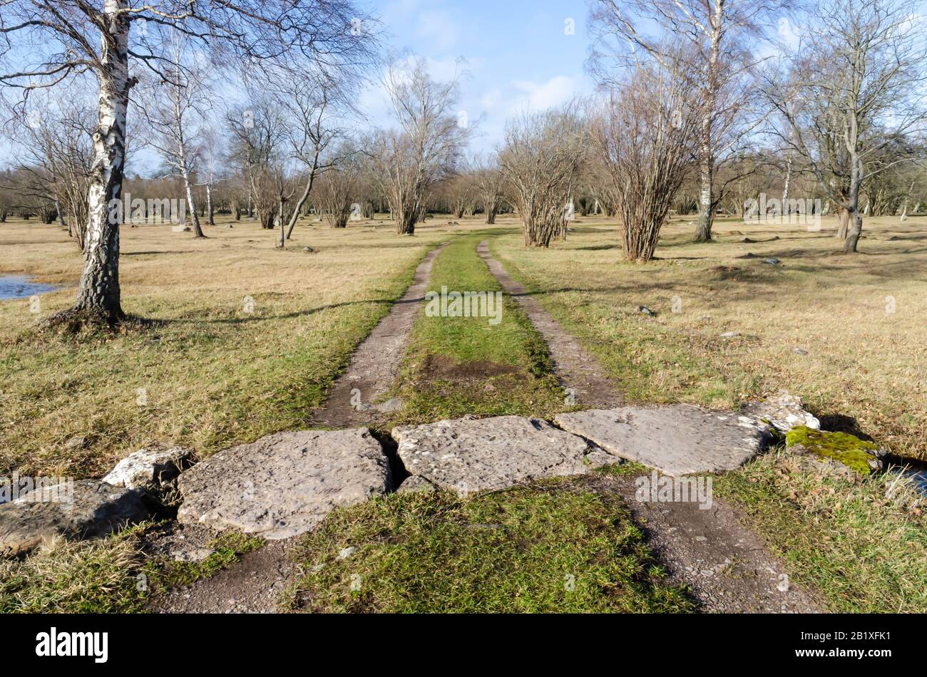 Traditional flat rock bridge by an old country road Stock Photo - Alamy