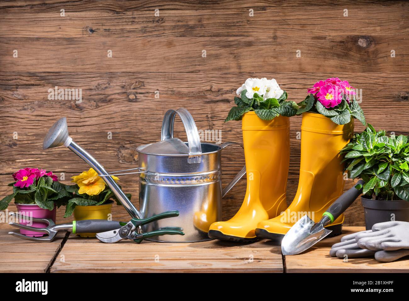 Gardening Tools And Flowers Ready To Be Planted Stock Photo - Alamy