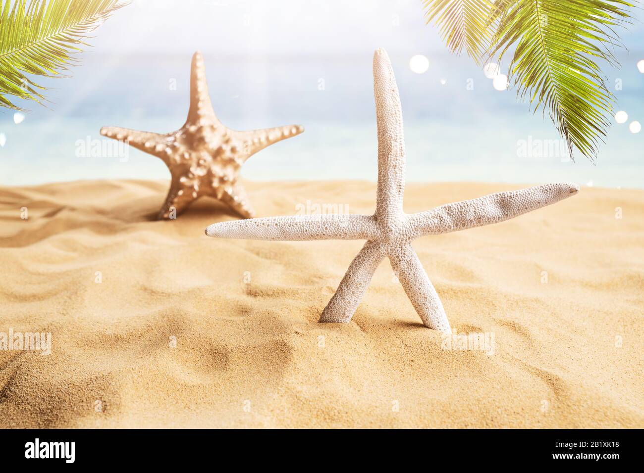 Star fish and beach hi-res stock photography and images - Alamy