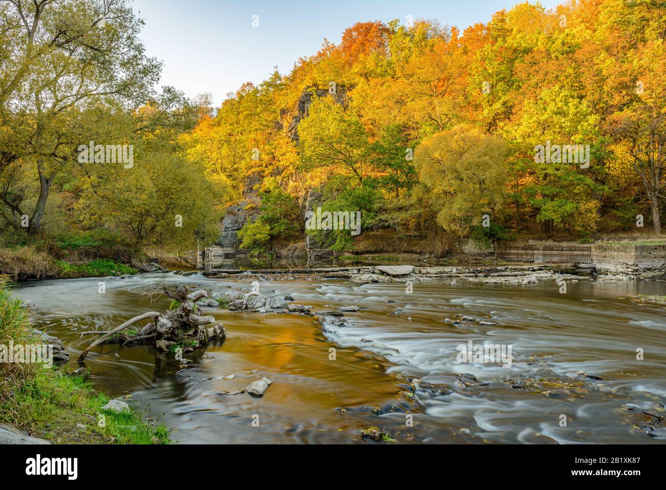 Weir trees hi-res stock photography and images - Alamy