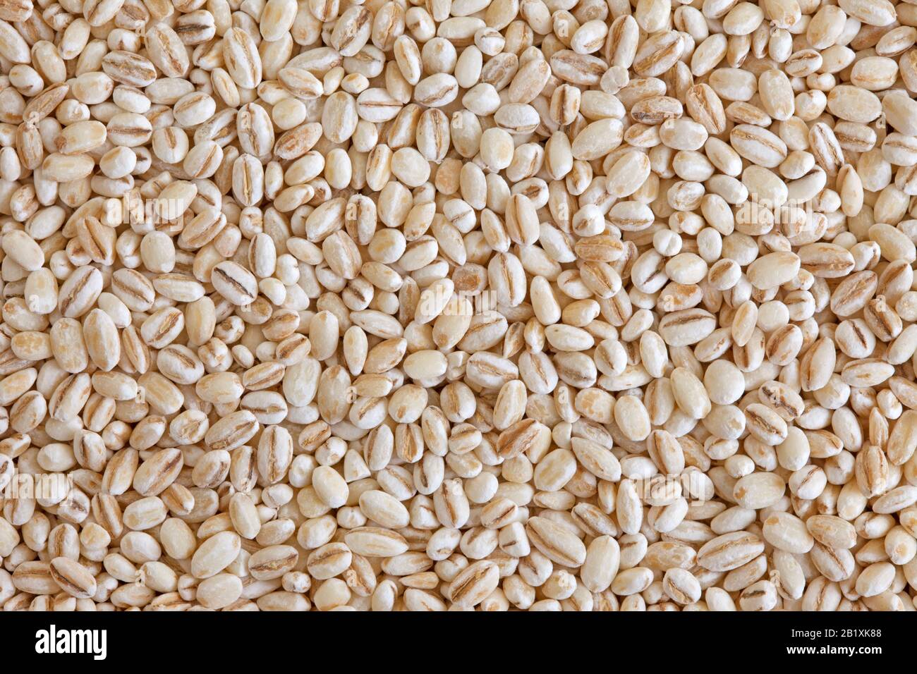 Cooked Pearl Barley