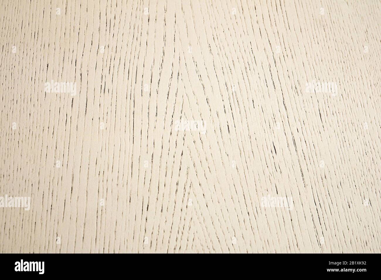 Ivory oak hi-res stock photography and images - Alamy