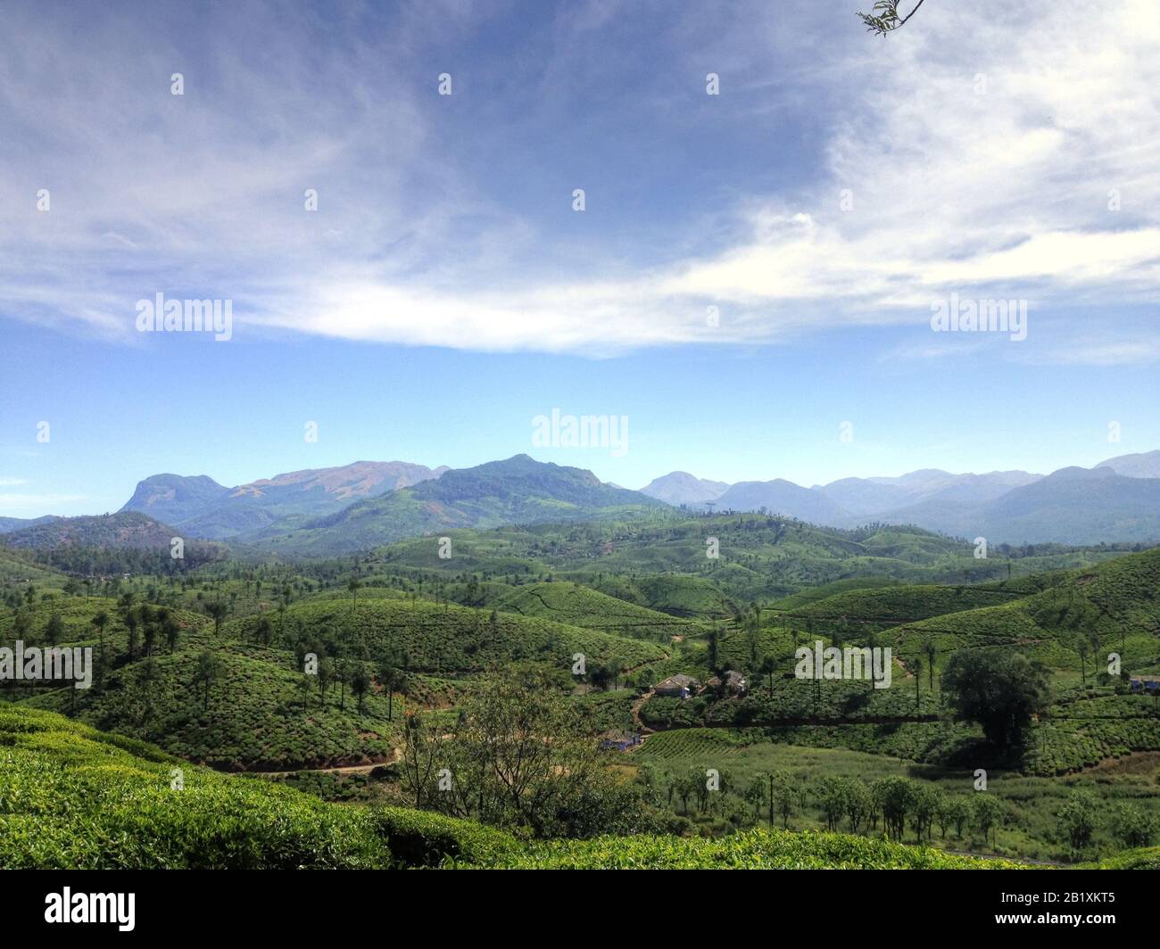 Beautiful Green Nature Wildlife Landscape at Indira Gandhi Wildlife ...